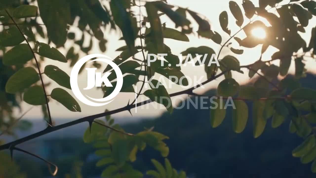 Website PT. Java Kapok Indonesia